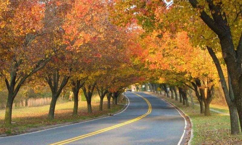 Regency at Holmdel | Holmdel, NJ Retirement Communities | 55places