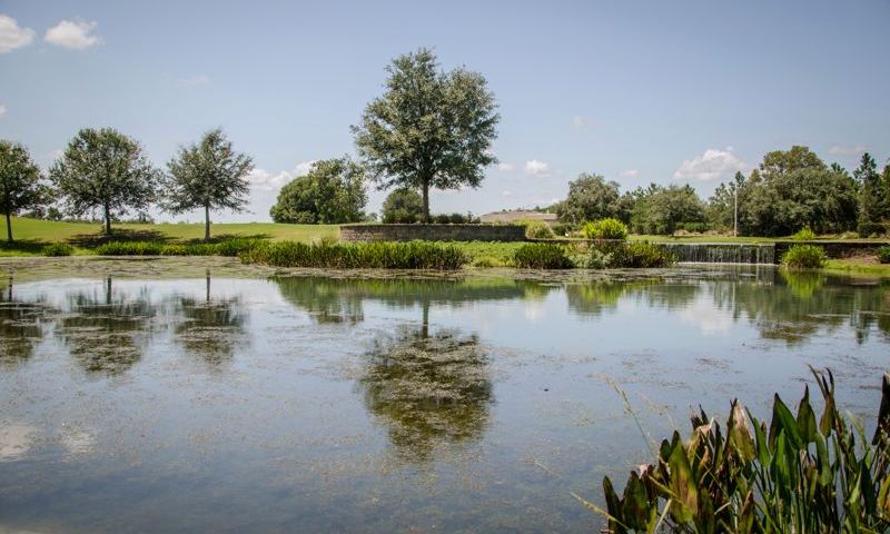 Arlington Ridge | Leesburg, FL Retirement Communities | 55places