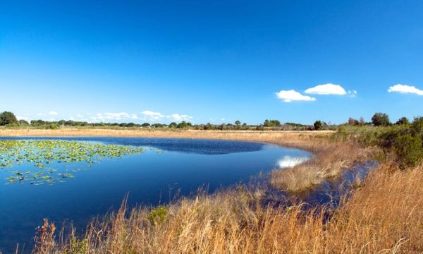 Royal Highlands | Leesburg, FL Retirement Communities | 55places